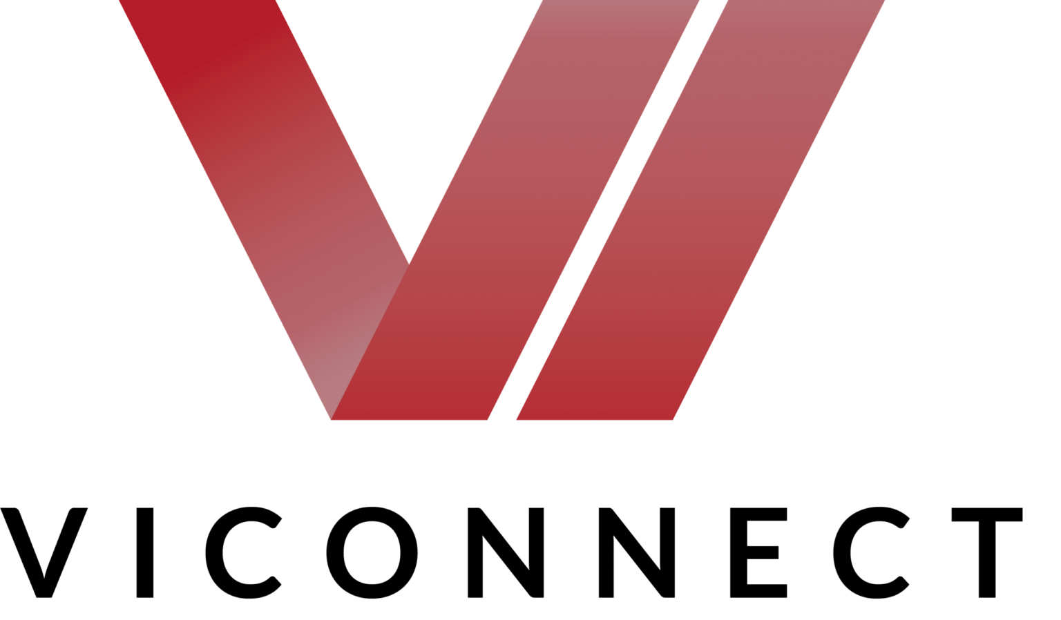 AGB - Viconnect GmbH - Viconnect GmbH